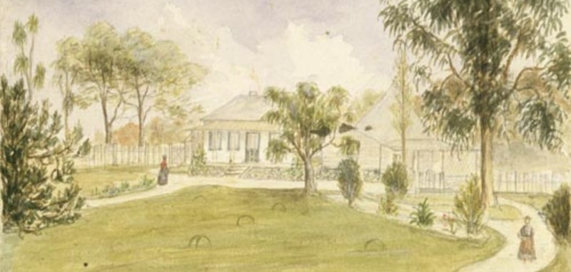 Today in History - New Zealand’s first cricket match - elocal magazine ...