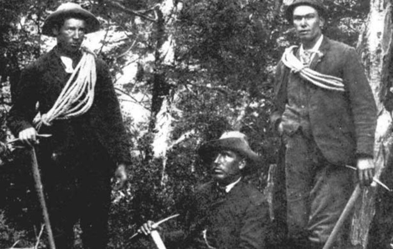 Today in History - First ascent of Aoraki/Mt Cook - elocal magazine ...