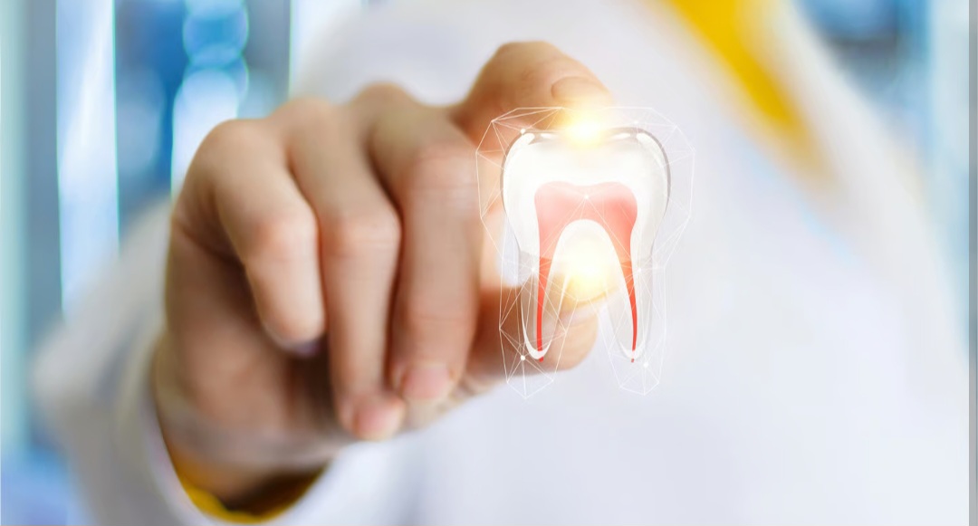 Bioengineered tooth "grows" in place to look and feel like the real ...