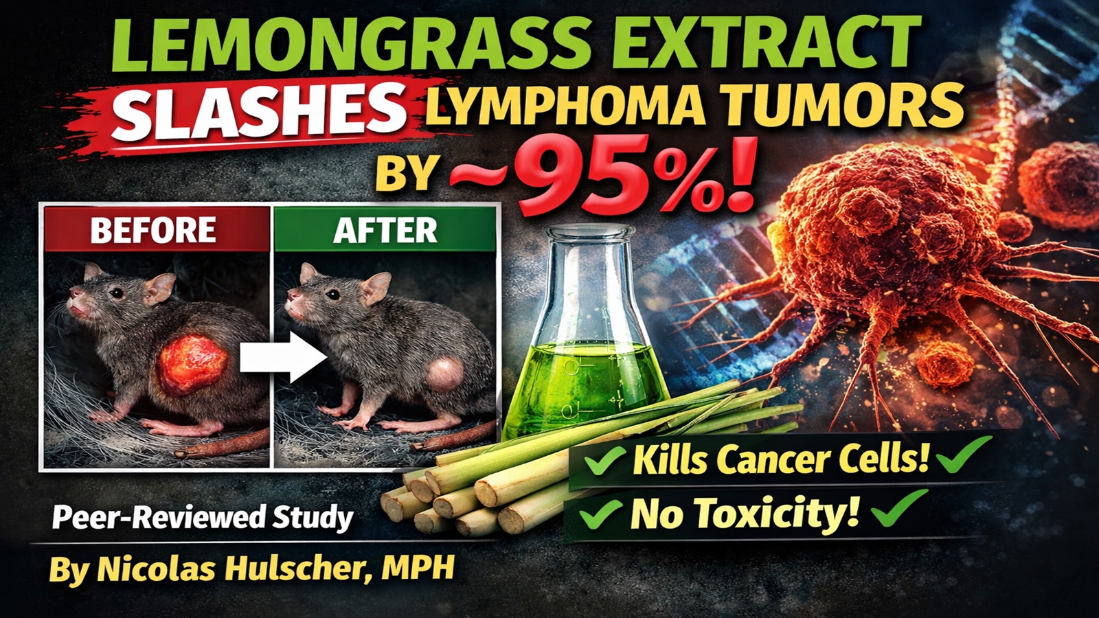 Lemongrass Extract Cuts Human Lymphoma Tumor Growth in Mice by ~95% ...