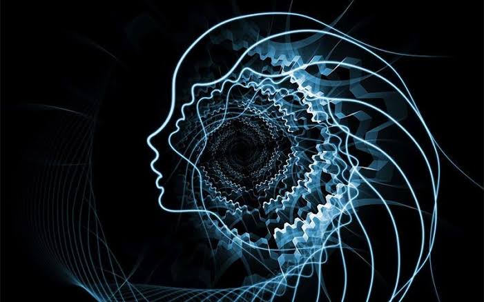 Māori Privilege and Media Paradox - elocal magazine - Voice Media